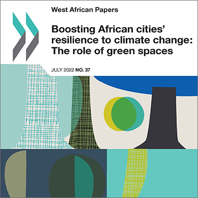 Reports – Mapping Africa Transformations